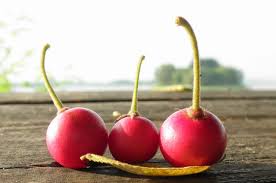 Manfaat Buah Kersen Untuk Kesehatan | INTIPS SEHAT