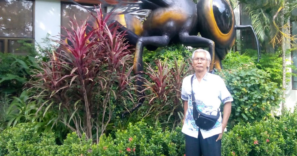 Big Bee Farm Pattaya - Thailand