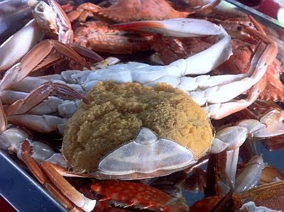 Backpacking Philippines: The Best Seafood Restaurant in Palawan