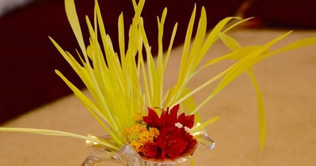 Nepali Tummy!!: दशैं आयो ! Easy way to grow Jamara :)