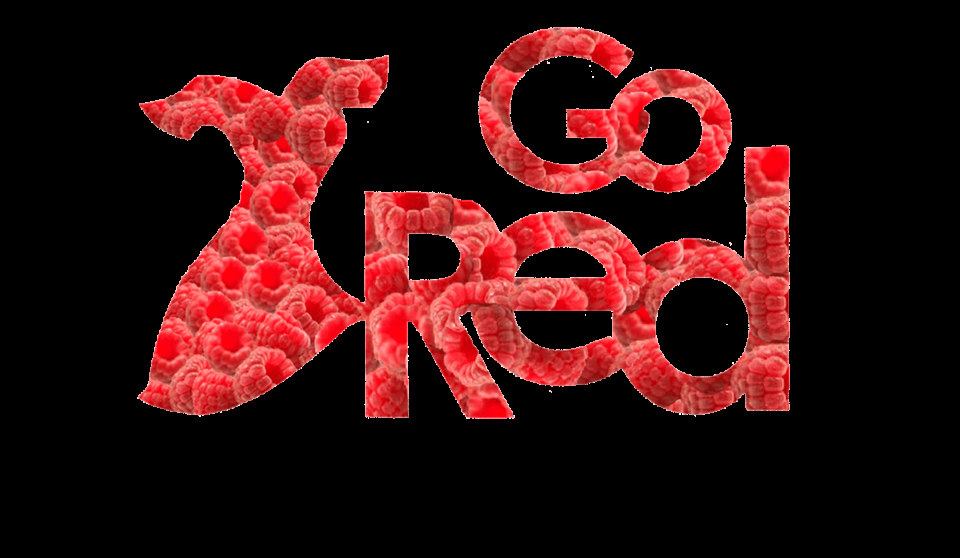 TWU Health Studies: Go Red for Women 2014