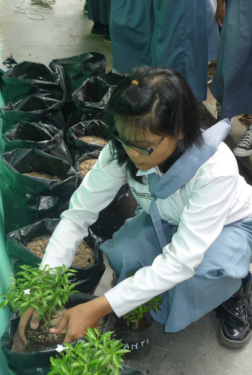 SMA N 2 METRO SEKOLAH ADIWIYATA DAN PEDULI LINGKUNGAN. :: Save Earth