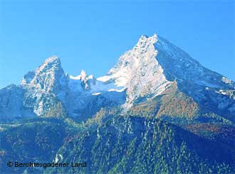 Alta Montanha: Vegetação de Alta Montanha