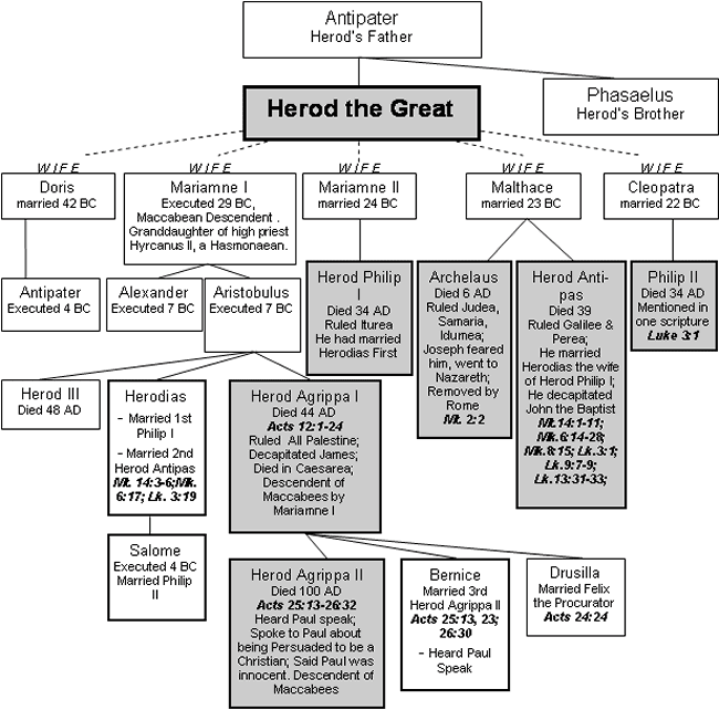 So This Is Herod s Family Tree so-this-is-herod-s-family-tree