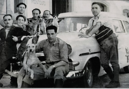 NUNCAJAMAS COCKER: UN LEGADO CELTA: EL PERRO GUICHO O QUISQUELO ...