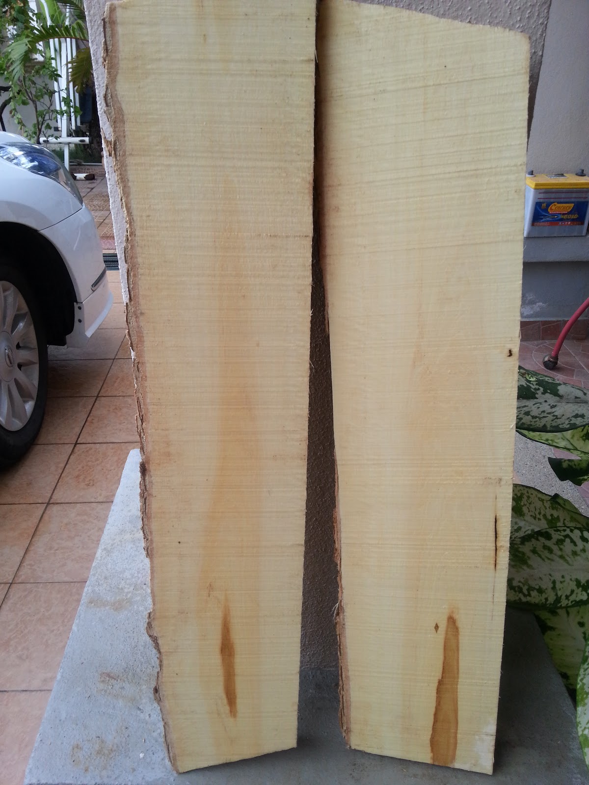 Kayu Warisan Malaysia: Kayu kemuning emas untuk dijual