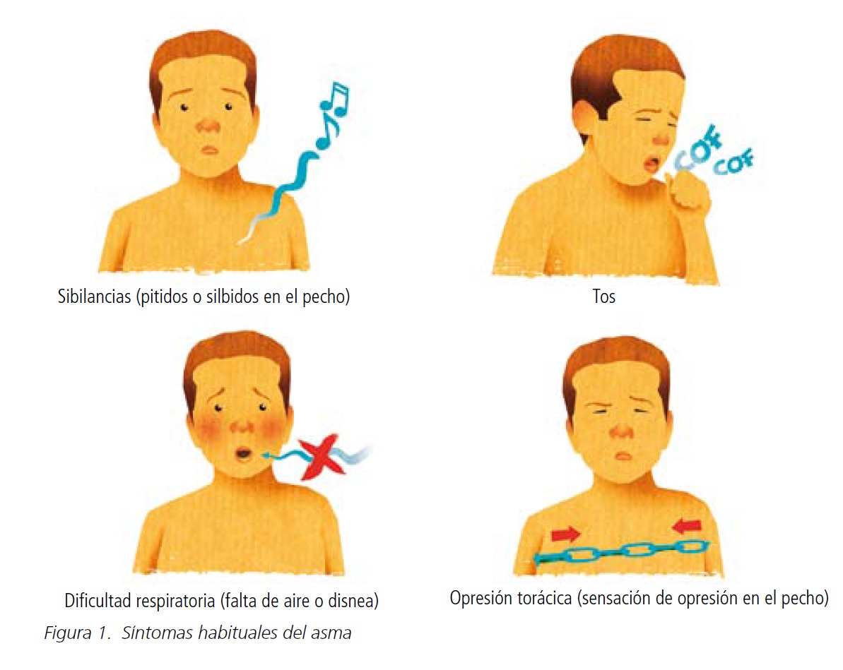 Teamwork Medical Nurse: QUE OCURRE EN EL ASMA - ANIMACIÓN 3D