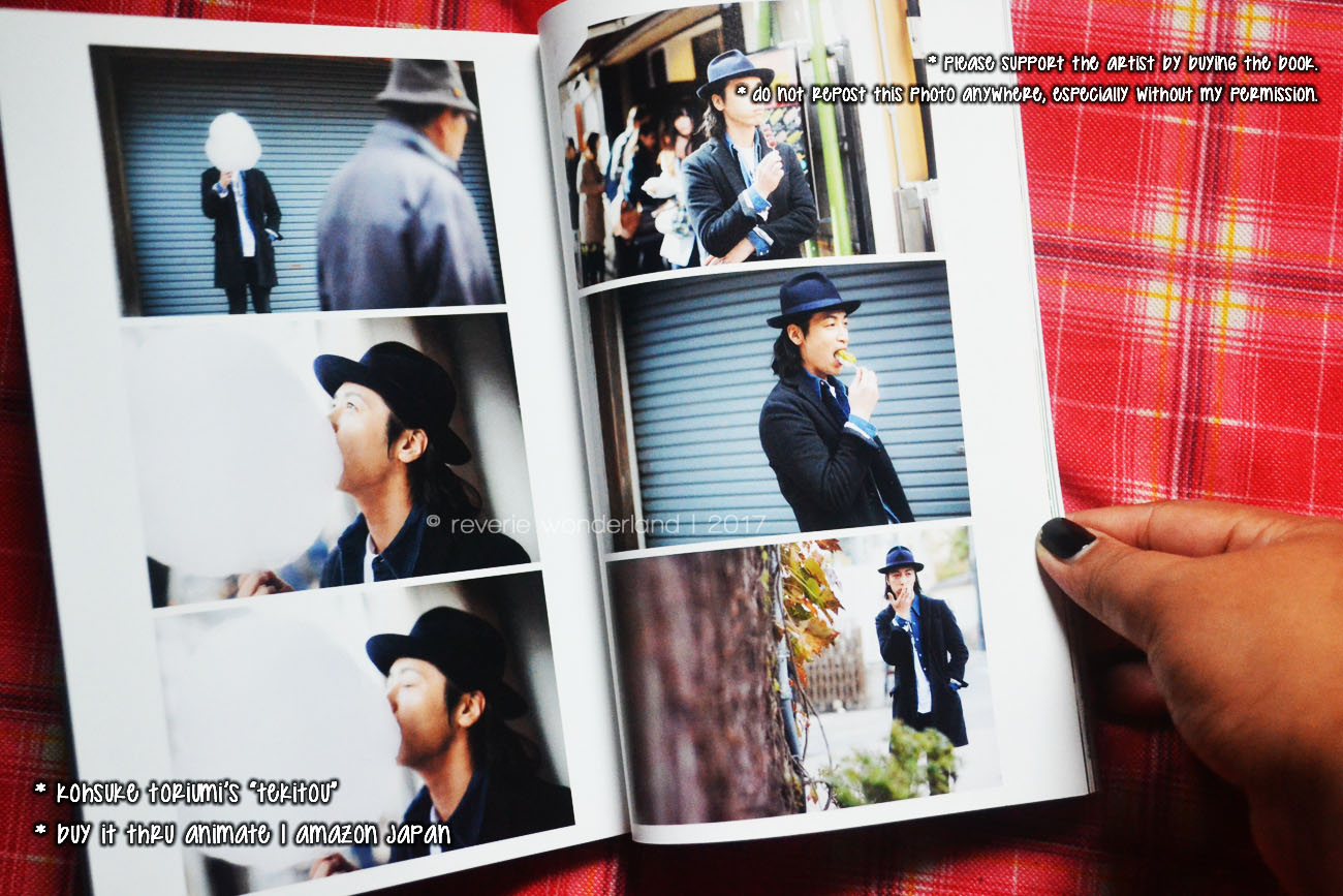 Kousuke Toriumi's 20th Anniversary Book - Tekitou - Reverie Wonderland