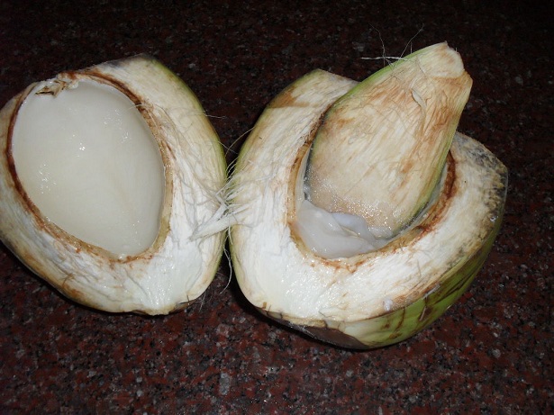 Elaneer Payasam - Tender Coconut Cooler!