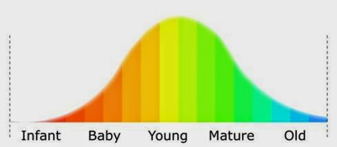 TINGKATAN ROH, (SPIRITUAL BARAT ) - 4 | Prabu Kalianget