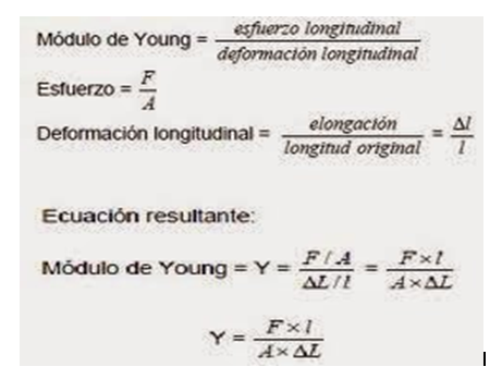 FÍSICA ELEMENTAL 10moGrado: ACTIVIDAD No. 10 MODULO DE YOUNG