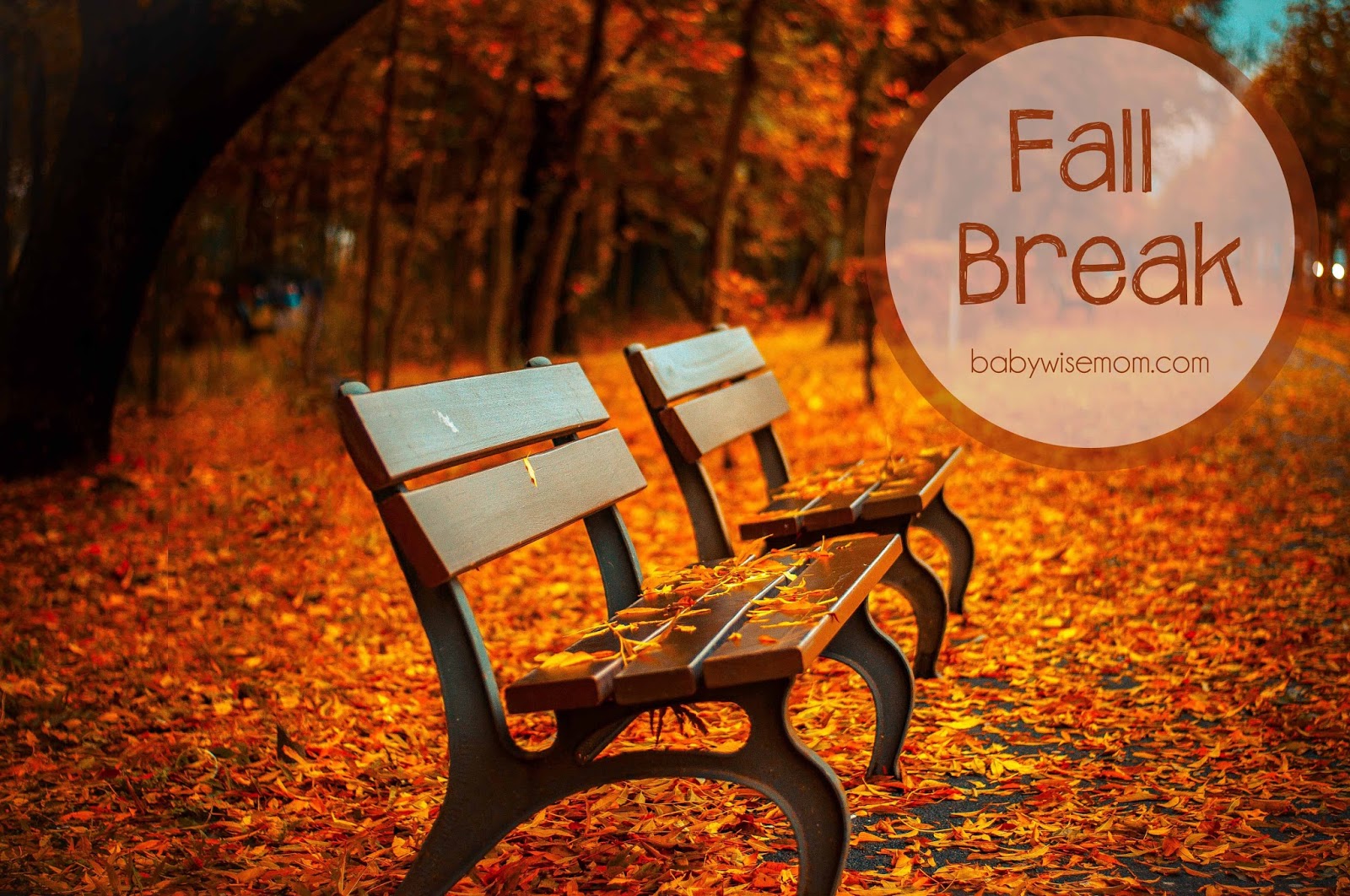 Fall Break 2015 - Babywise Mom