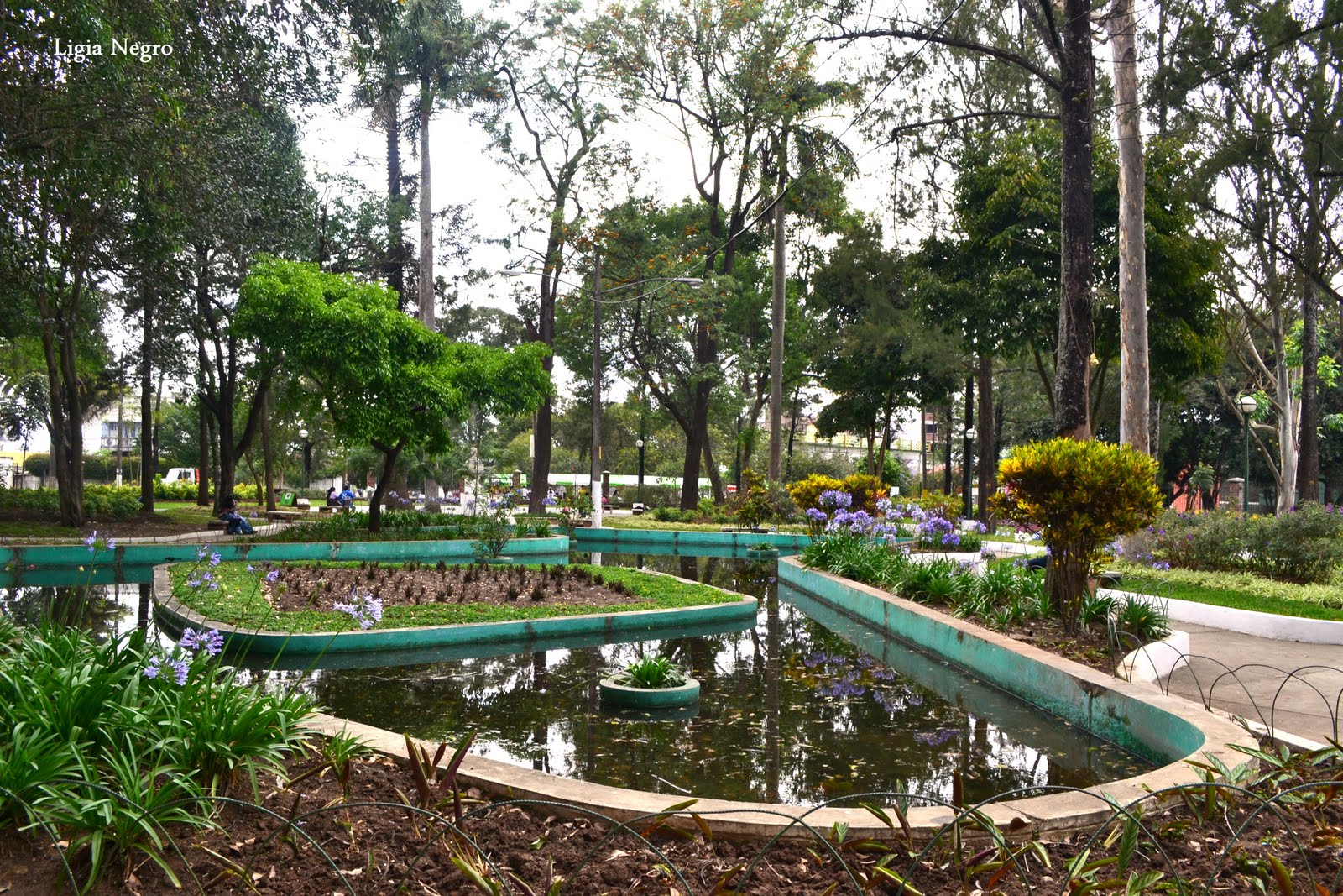 Arte Guatemalteco Forma y Sentidos: PARQUES DE GUATEMALA, UNA MIRADA A ...