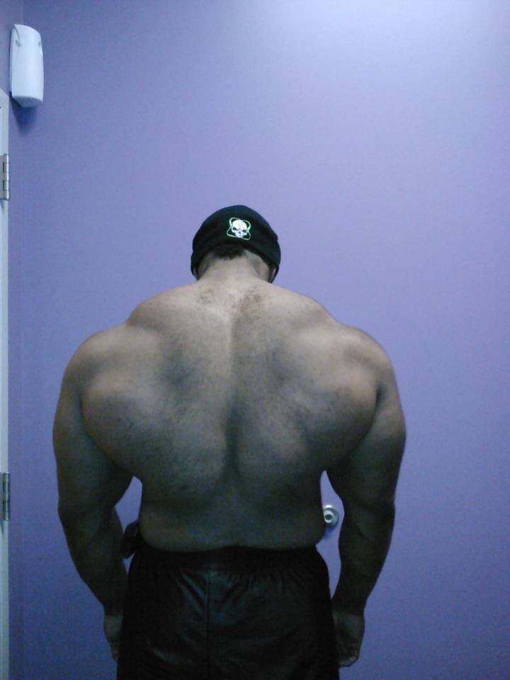 Muscle Lover: American IFBB Pro bodybuilder Will Harris (2)