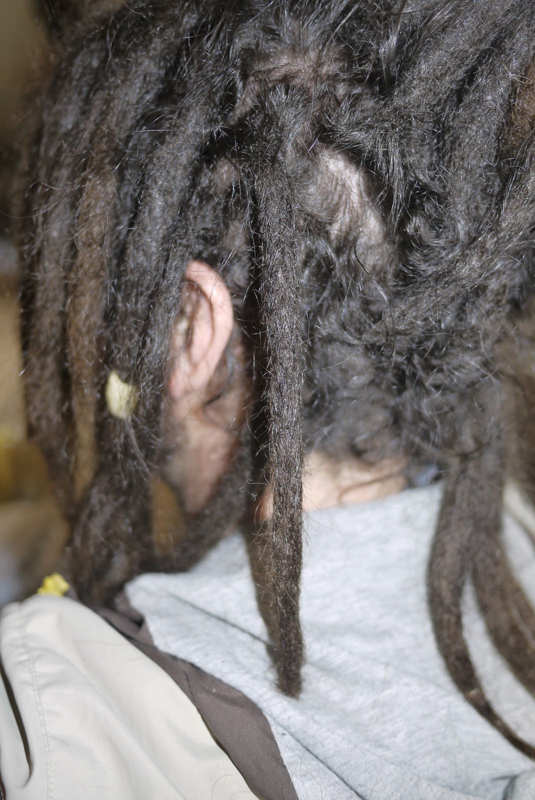 locksworks: Maintenance of 2 Year Old Dreads