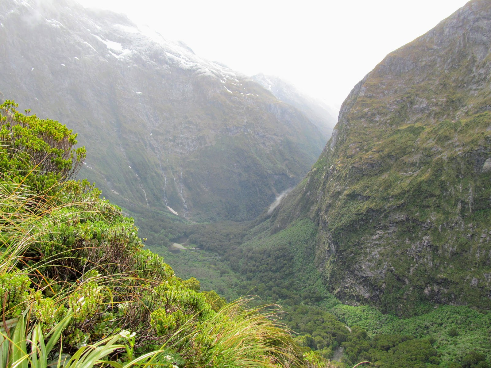Tramping in the New Zealand backcountry: NZ Bush Adventures: 2018