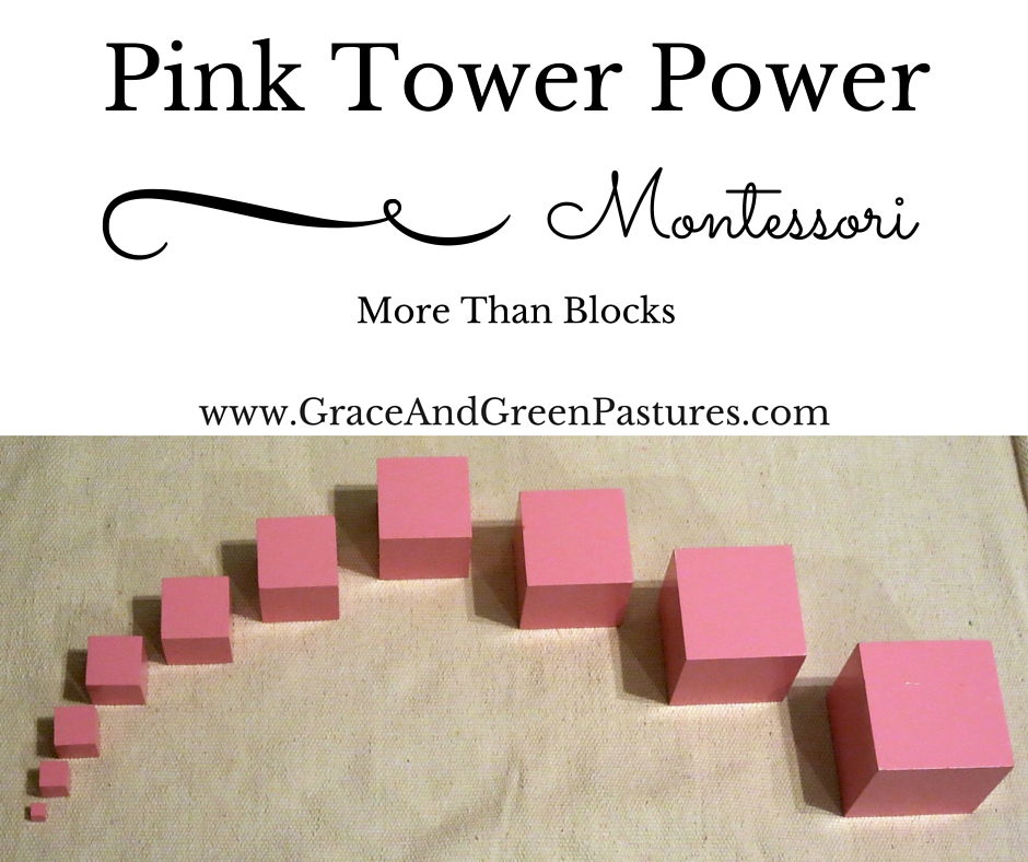 Grace and Green Pastures: Pink Tower Power
