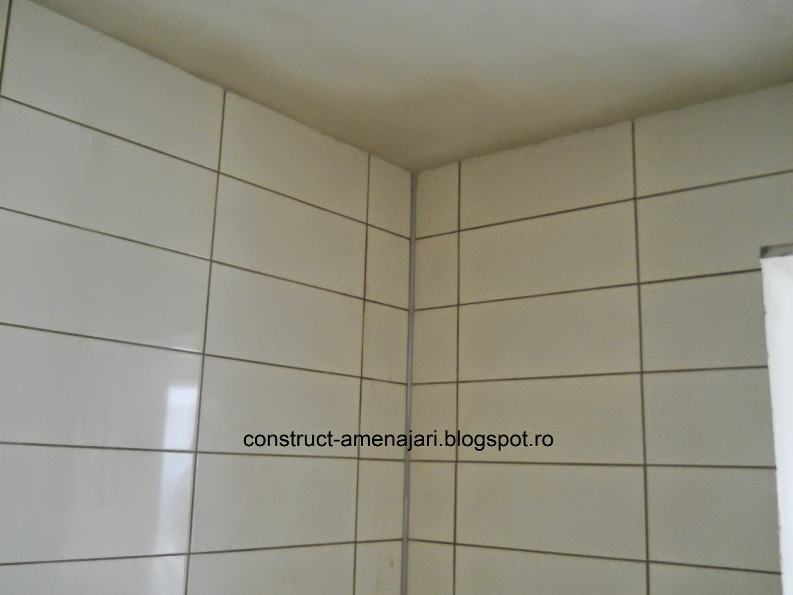 Constructii si Amenajari: Galerie foto amenajari bai