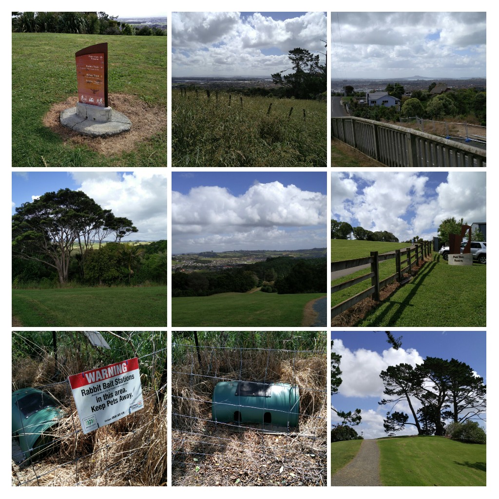 Vivre Auckland: Point View Reserve