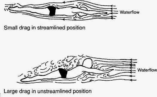 What are the biomechanical principles of the freestyle tumble turn?