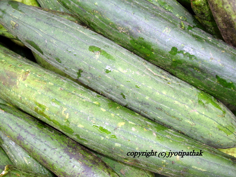 Learn more about Luffa Gourd - Gheeraula (घीरौला, पाटे घीरौला)