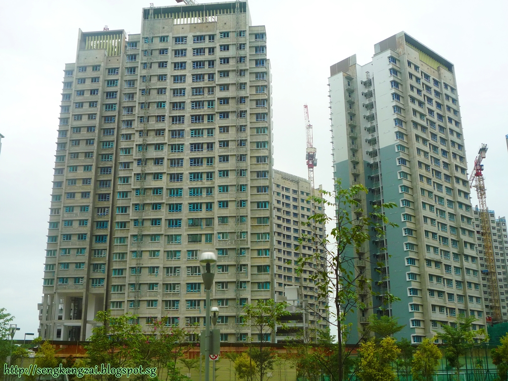 Zai@Sengkang: Fernvale Foliage (Yr 13 Wk 08)