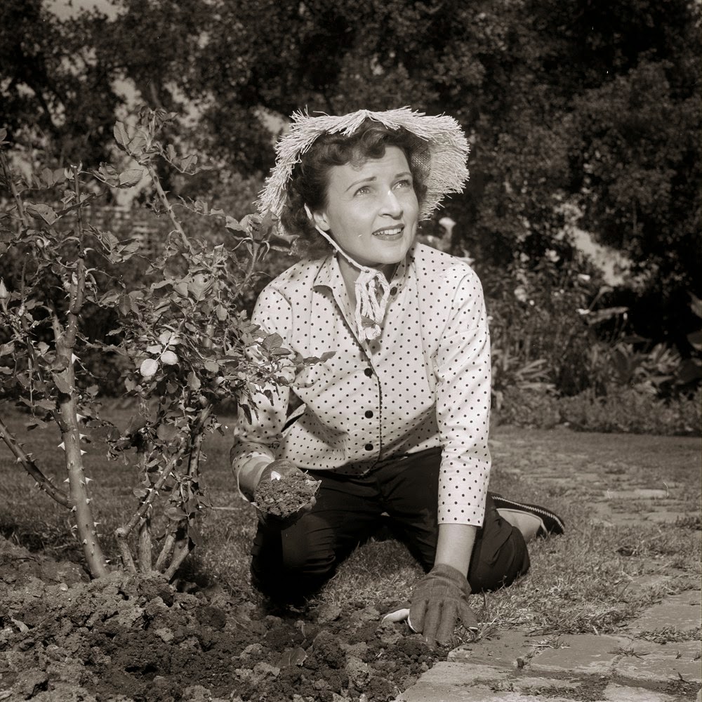 35 Rare and Fabulous Vintage Photos of a Young Betty White From Between ...