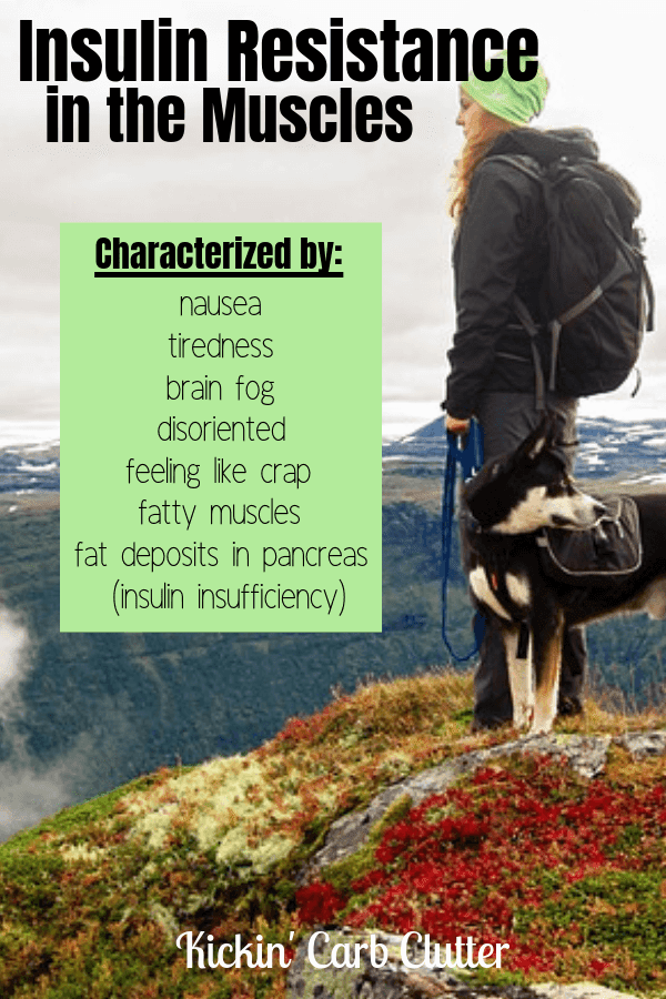 Insulin Resistance in the Muscle