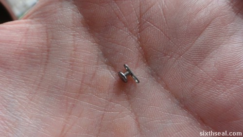 WE HEART BODY MODIFICATION: Microdermal