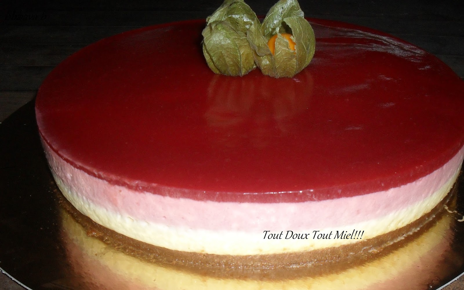Tout Doux Tout Miel.....: Bavarois fruits rouges chocolat blanc!!!