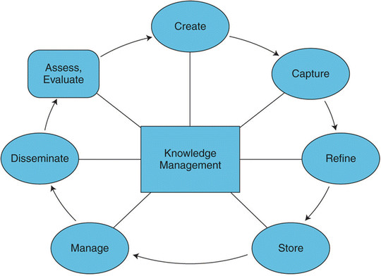 Definisi Dasar Knowledge Management System ~ Aini Hutagalung