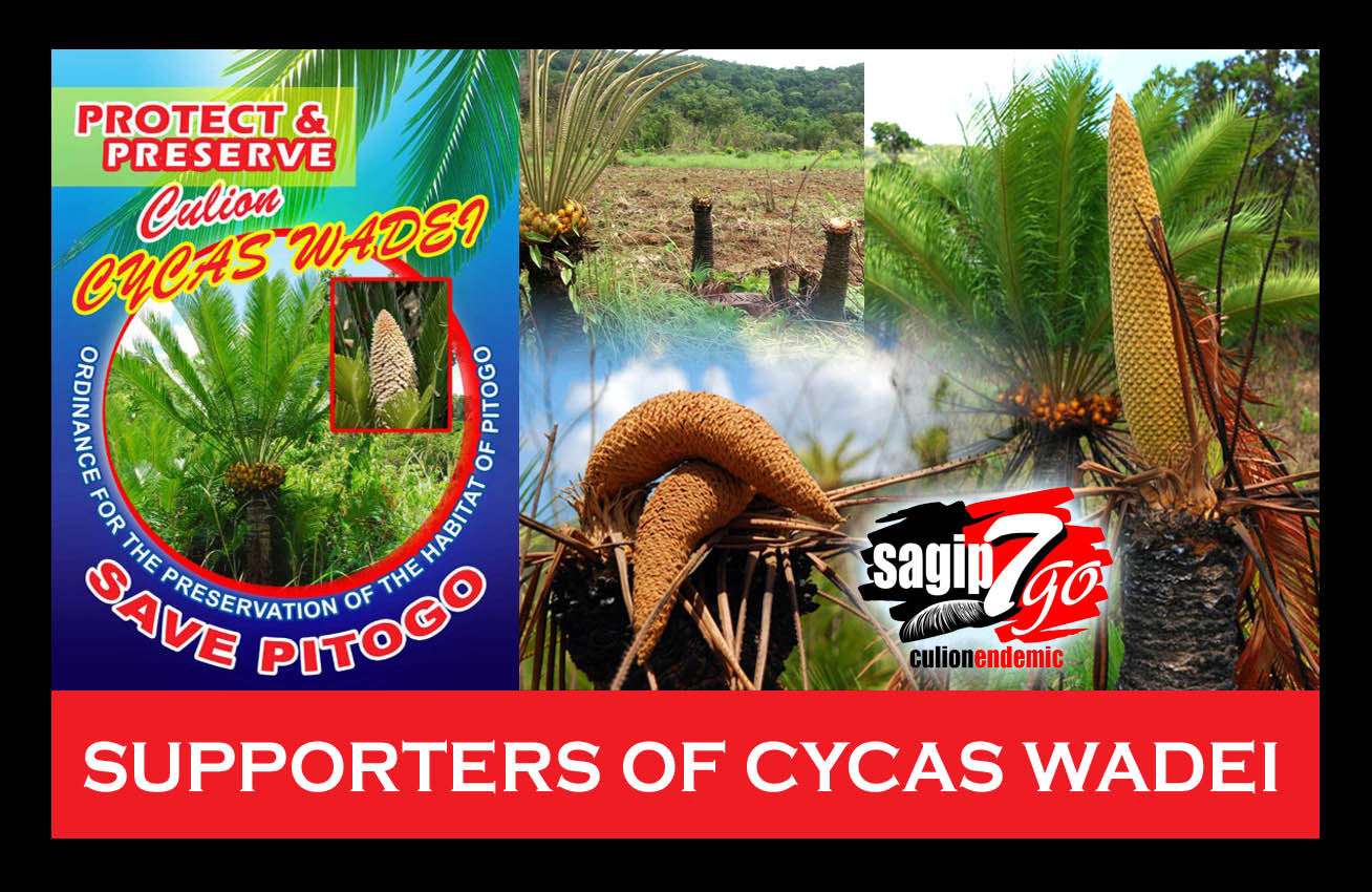 Letters: as friend of time: CYCAS WADEI endangered & threatened habitat