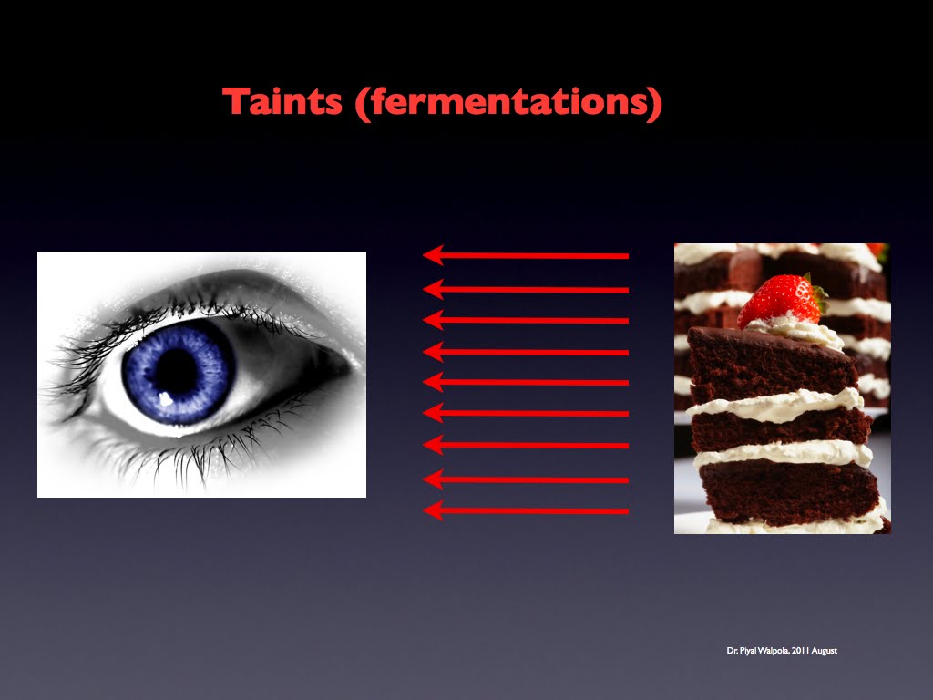 Wisdom through Mindfulness: What are Taints or Fermentations (Asava) of ...