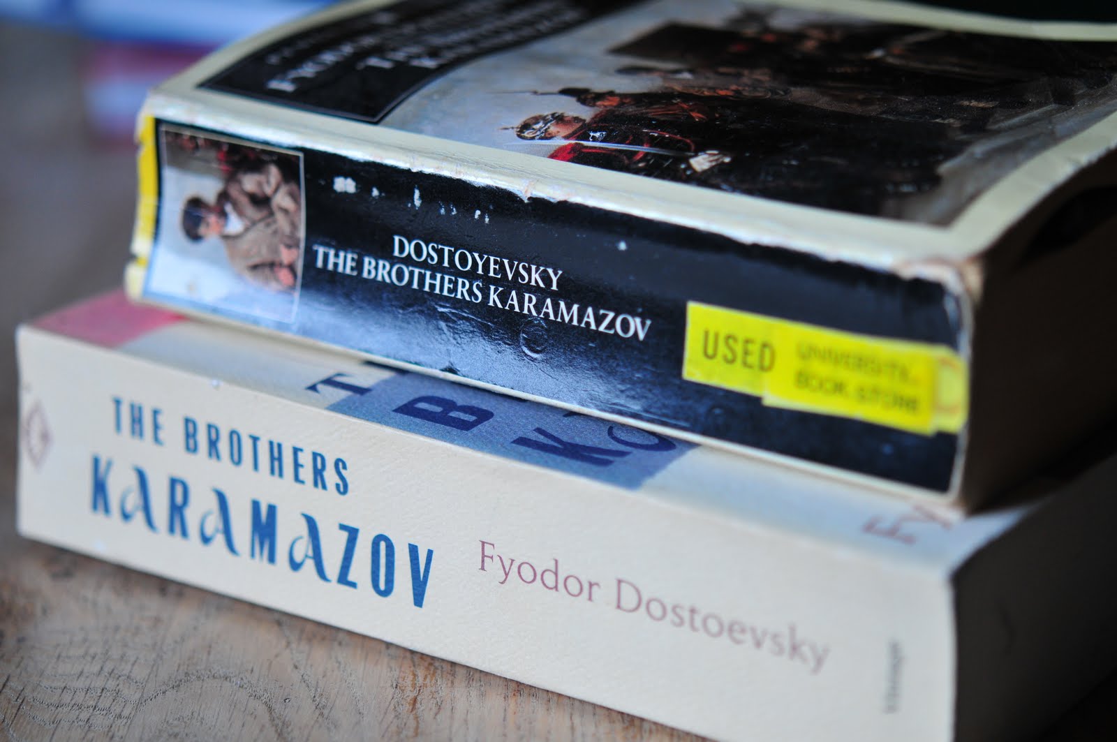 moments of perfect clarity: reading russian literature