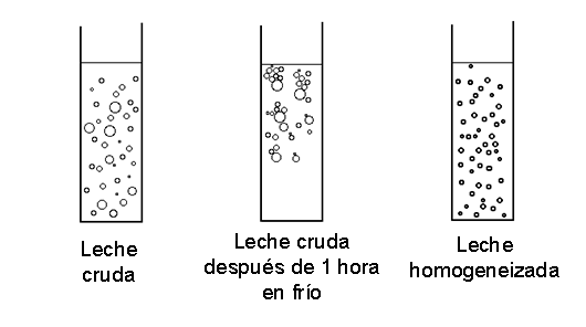 Todo lo que deberías saber sobre la leche cruda (y II) - Gominolas de ...