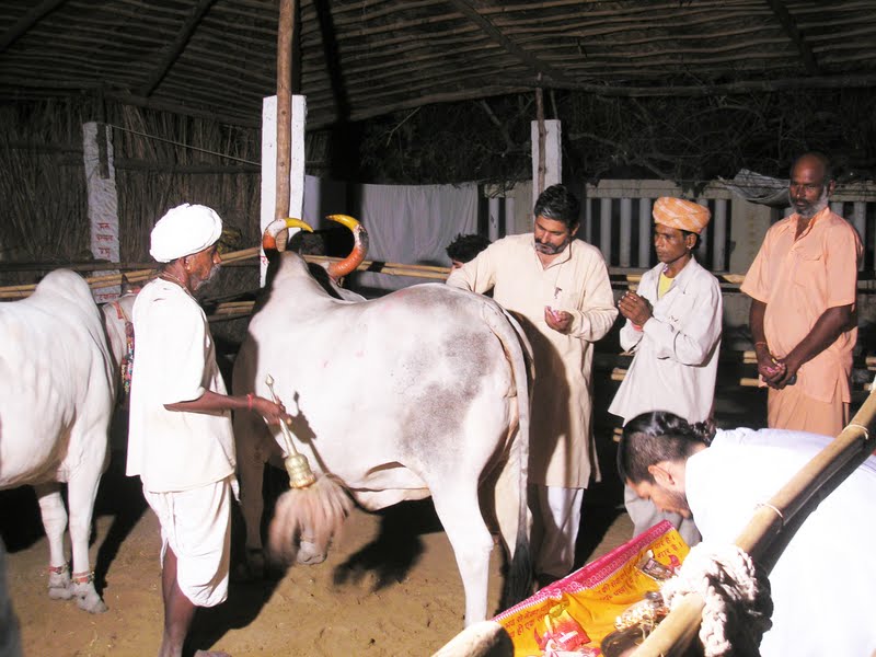 GO PATHMEDA: Photo Gallery