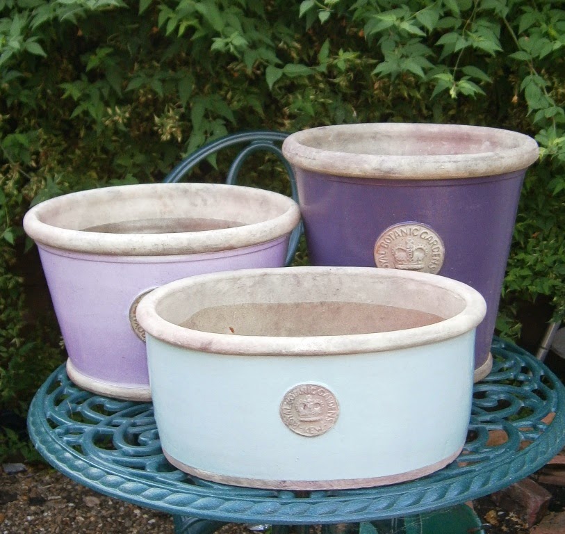 Sasha Village: MORE POTS......?