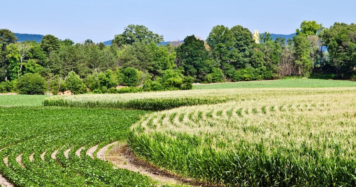 Mari melakukan pertanian organik - farmingcenter