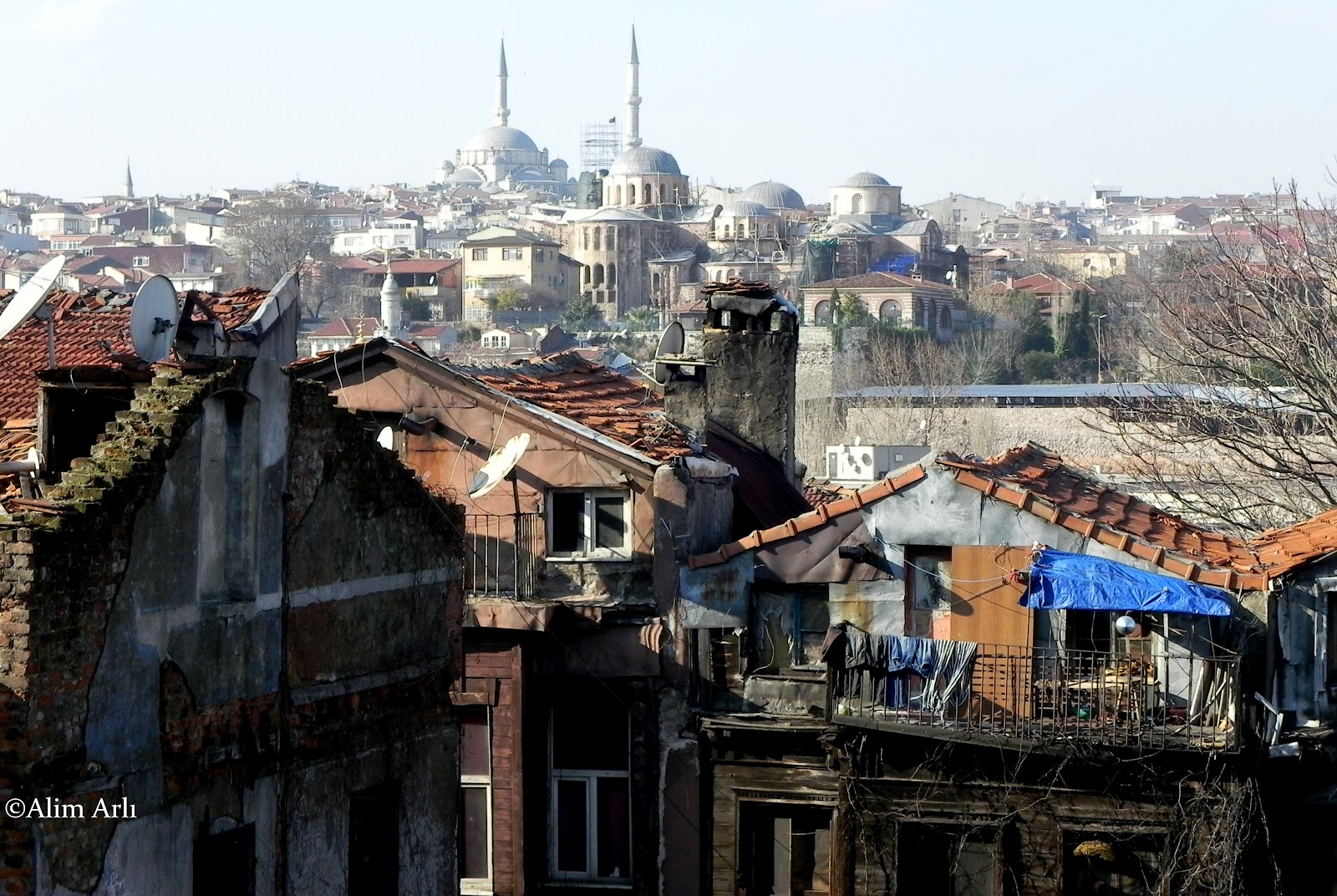 Alim Arlı: Habitat II Tartışmaları ve İstanbul’da Toplumsal Dönüşüm
