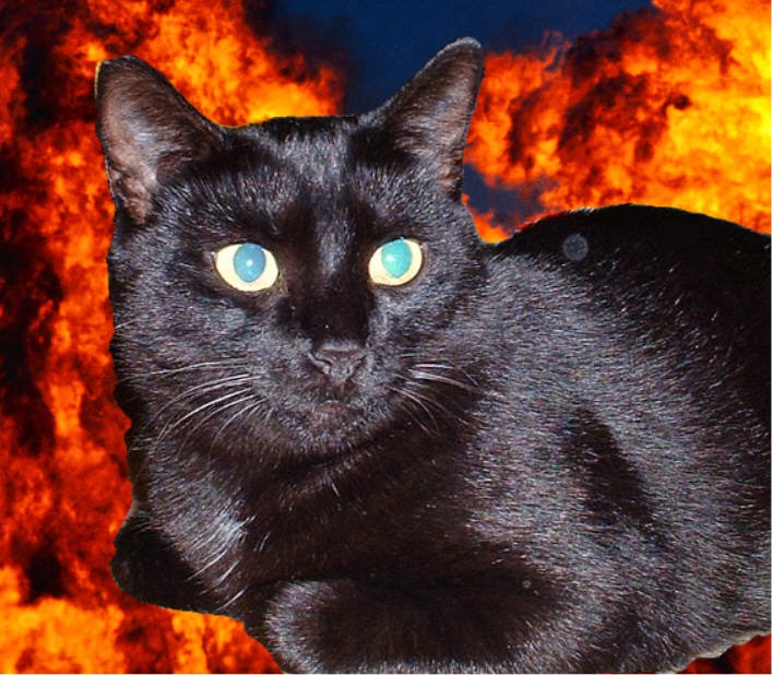 That's Life ... Sometimes!!!: FTSF: Gabriela, The Demon Cat, Returns ...