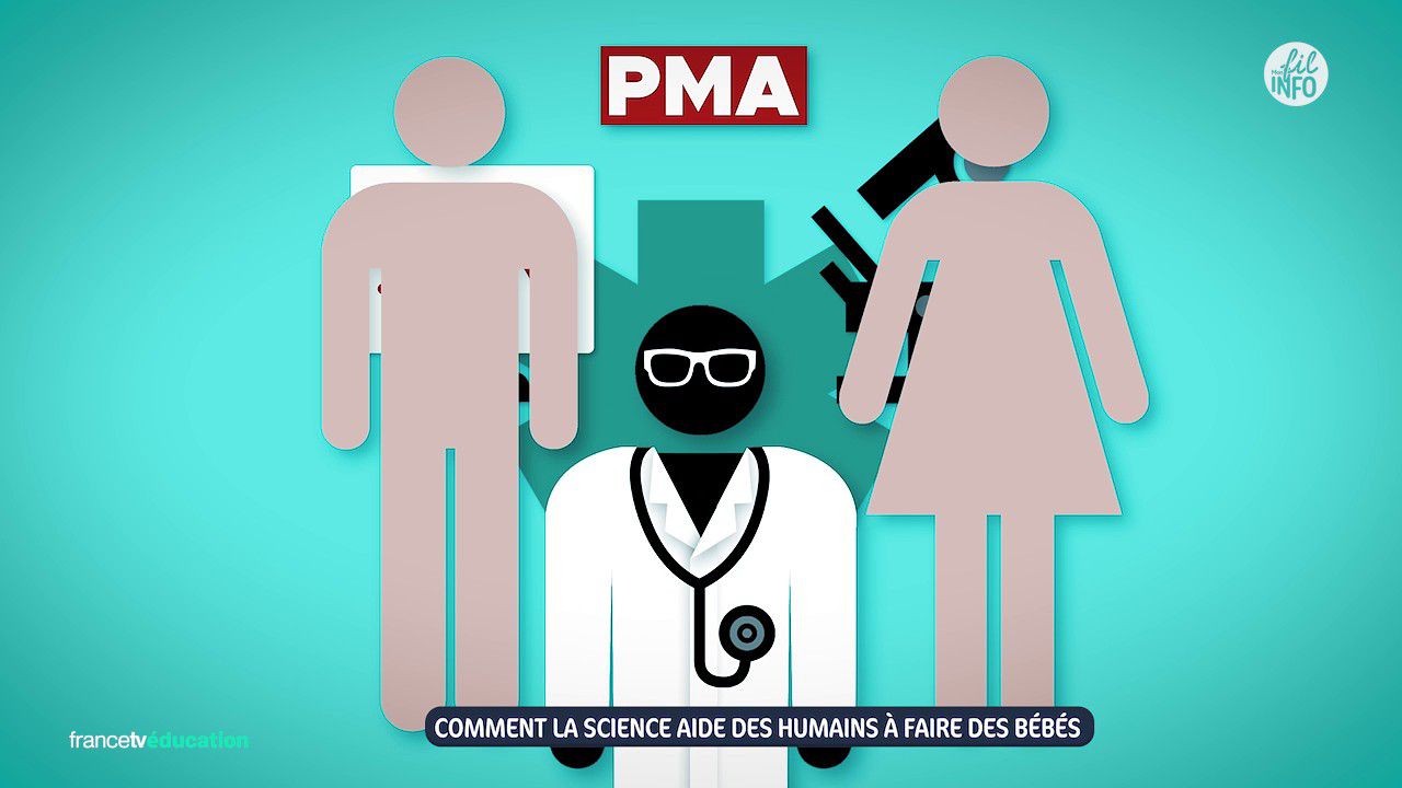 BIOETHIQUE et CATHOLIQUE: "Des maux passés sous silence" ..les CHIFFRES ...