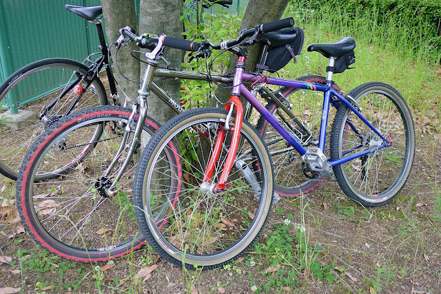 Kinki Cycle: Panasonic Mountain Cats