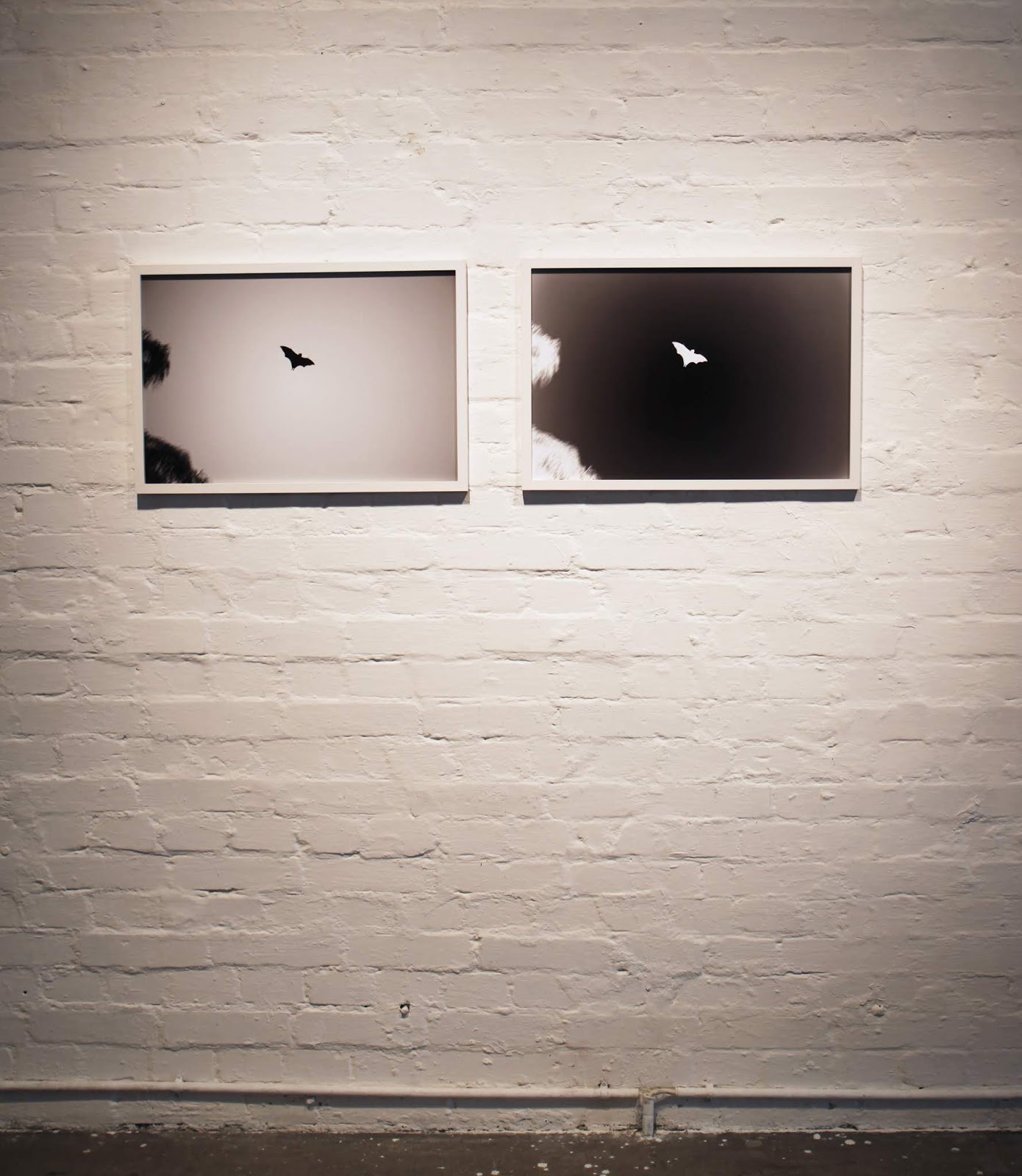 Katrín Elvarsdóttir