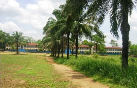 Sheku Sheriff's Blog : Dr Yumkella's Inspirational Speech to Alumni ...