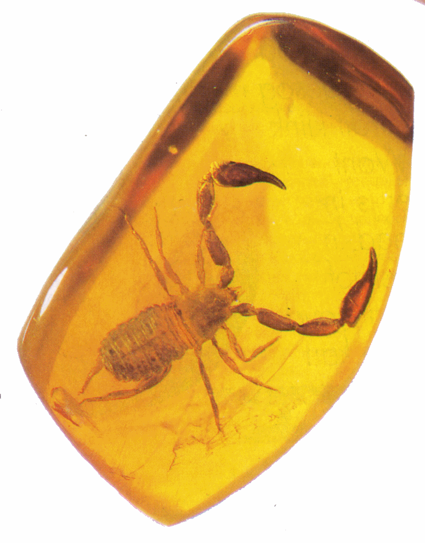 Mi mundo mineral: Ámbar