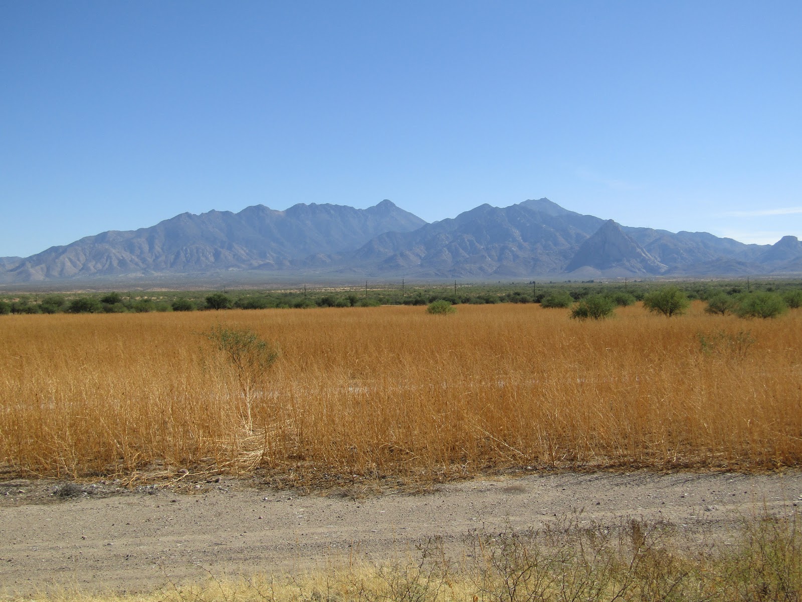 Team Guthrie: Green Valley, Arizona Attractions