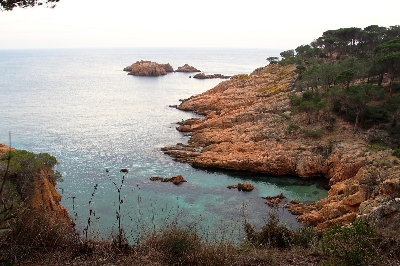 Cami de Ronda de Sant Feliu de Guixols a Sa Conca S'Agaró - Rutas Mar & Mon