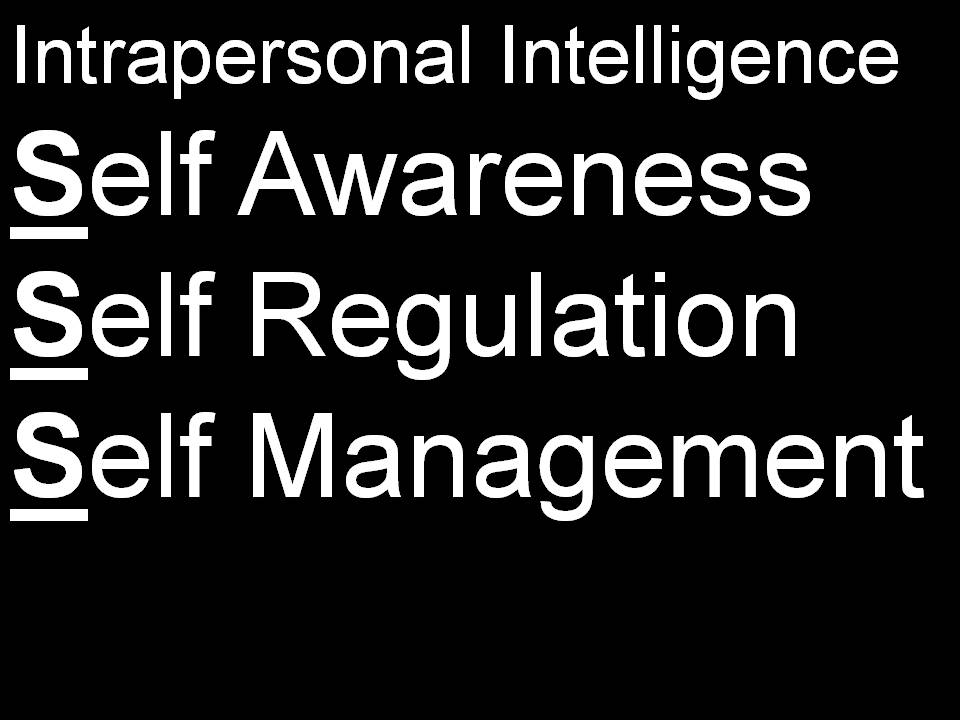 Life Coach Bloggers List Of Intrapersonal Skills With Examples life-coach-bloggers-list-of-intrapersonal-skills-with-examples