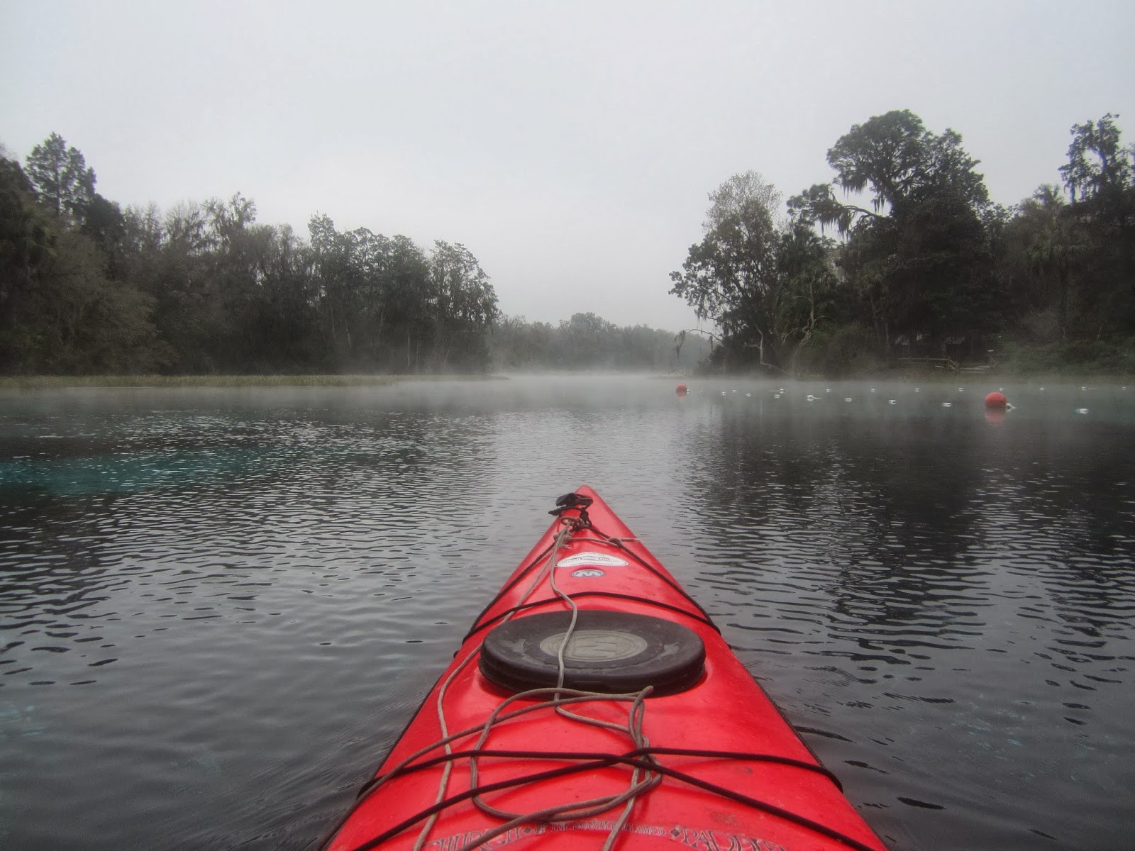 Dave's Yak Tales: Rainbow River